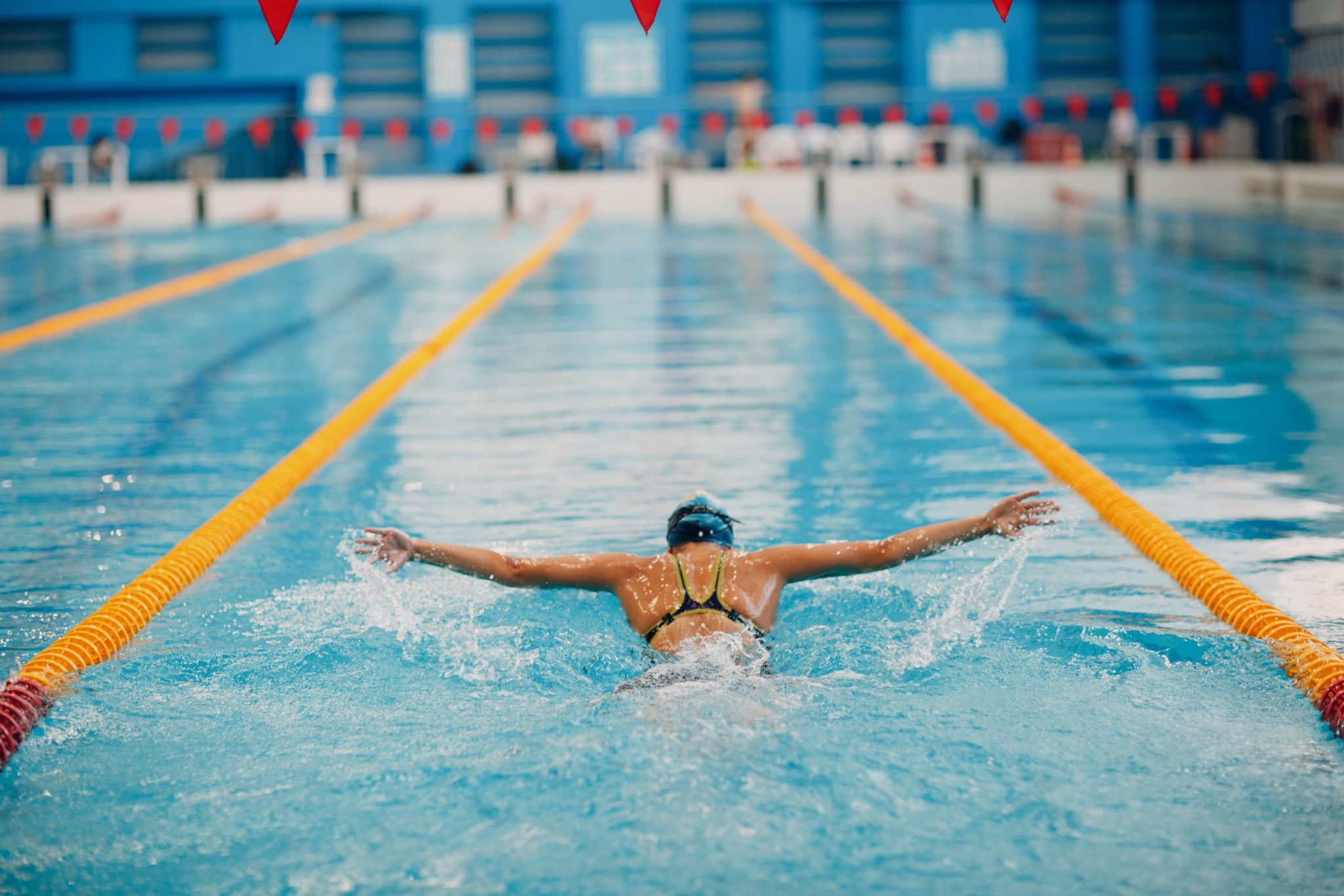 Cursillos de Natación para Niños y Adultos - Gimnasios Donostia